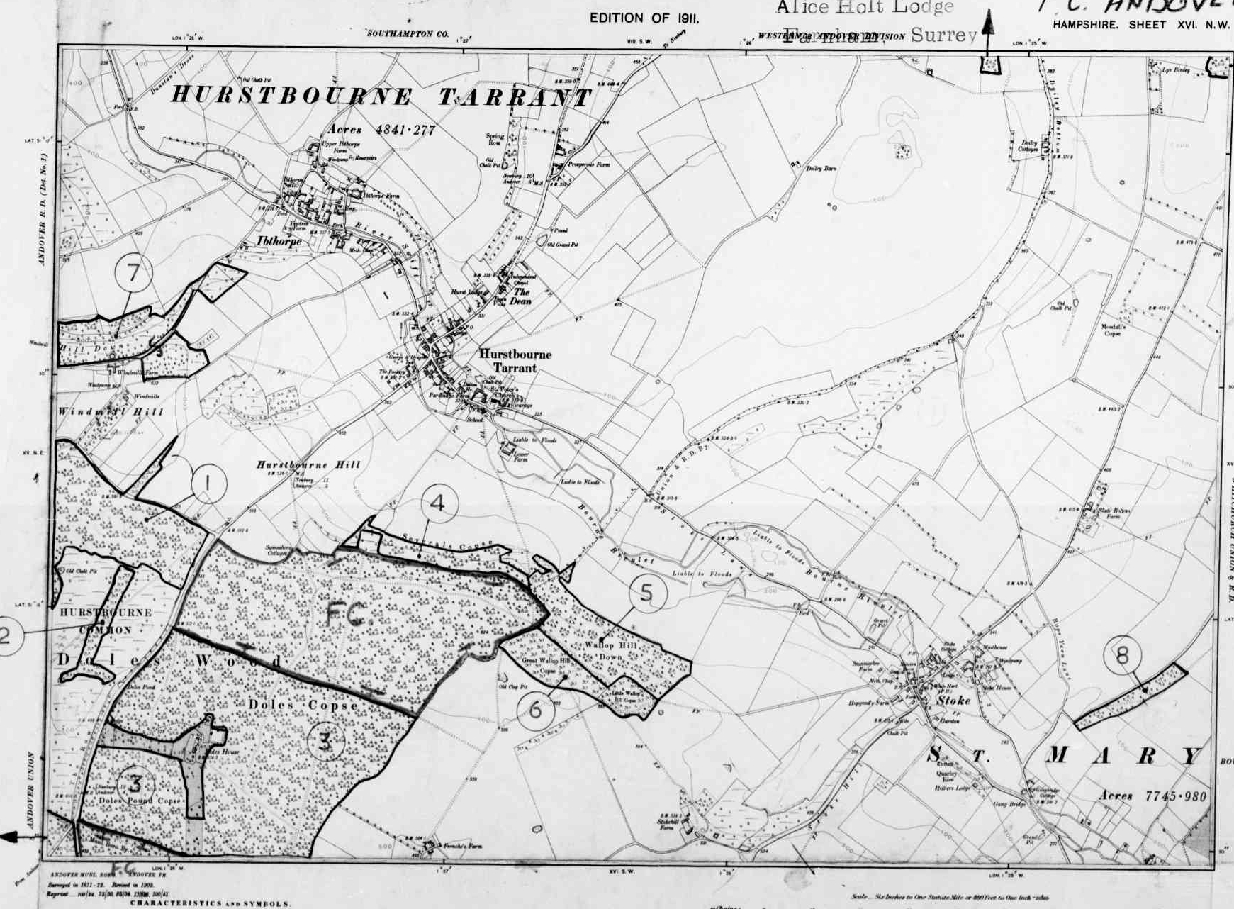 Detailed Old Map of hampshire Ordnance Survey (OS) Map Sheet 16 NW ...