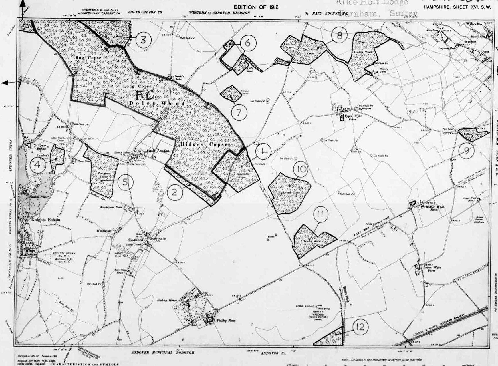 Detailed Old Map of hampshire Ordnance Survey (OS) Map Sheet 16 SW ...