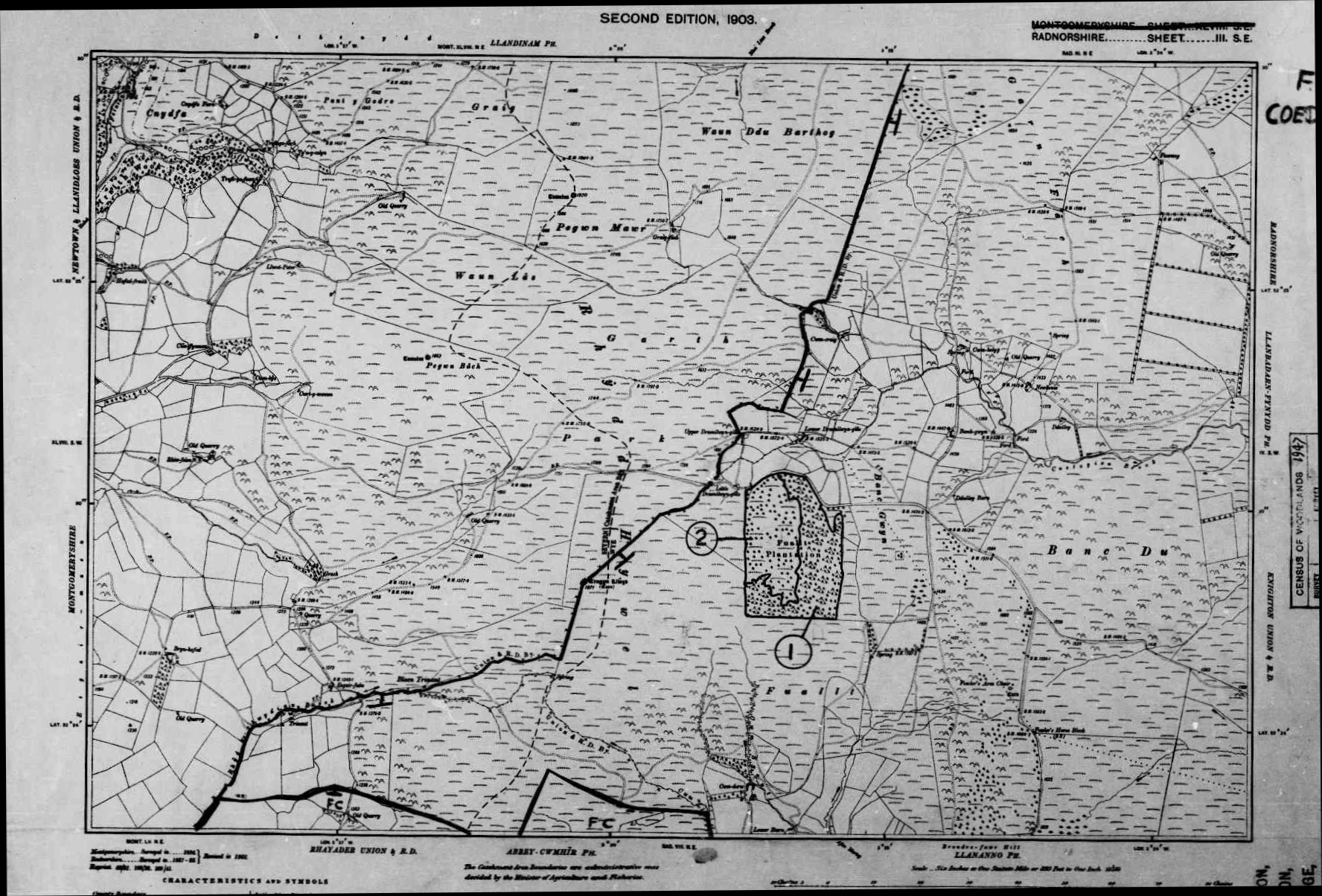 Detailed Old Map of radnorshire Ordnance Survey (OS) Map Sheet 3 SE ...