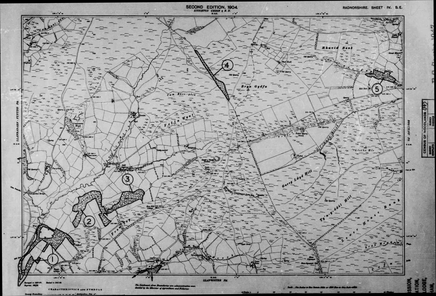 Detailed Old Map of radnorshire Ordnance Survey (OS) Map Sheet 4 SE ...